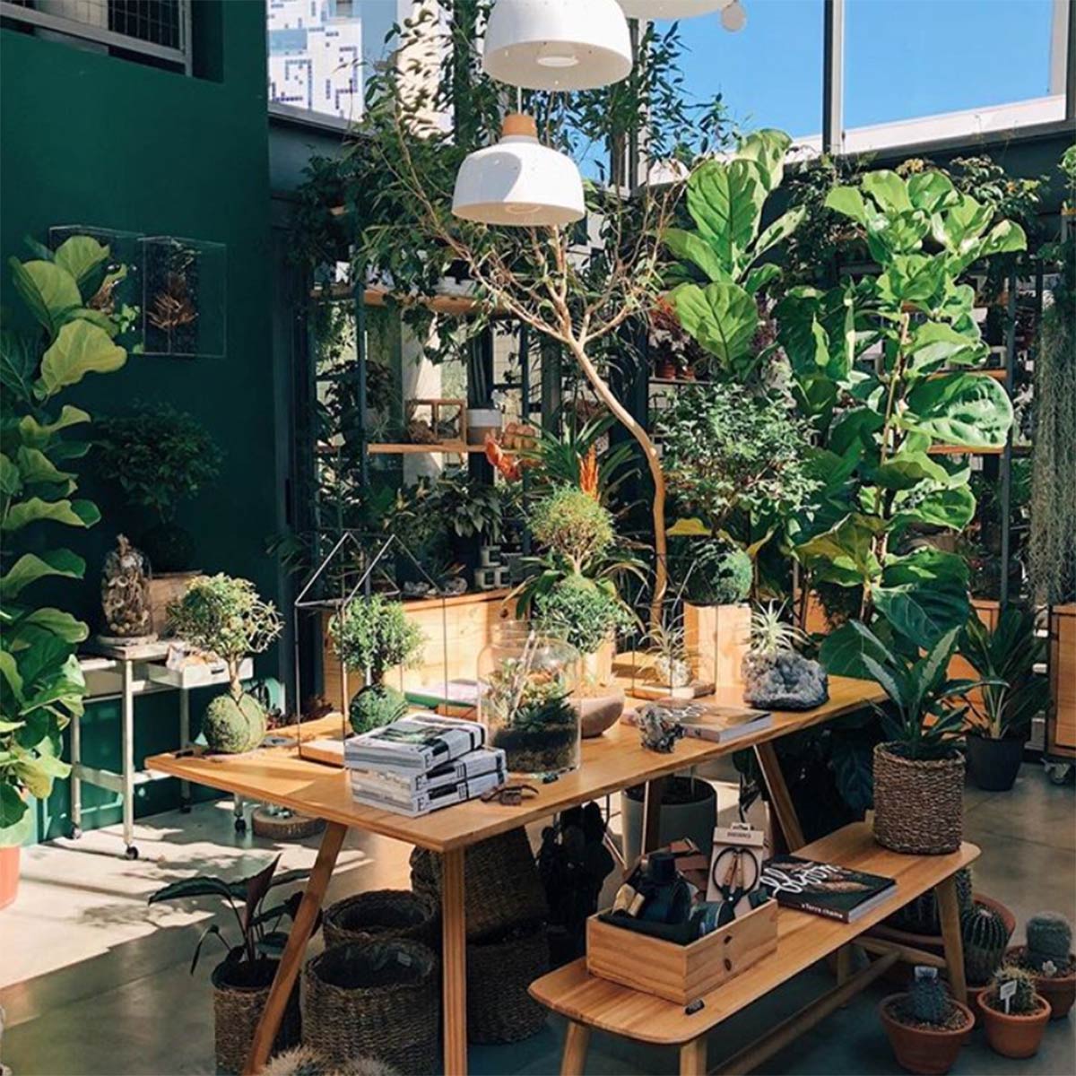 FLO Botany - Florist featured on Thursd