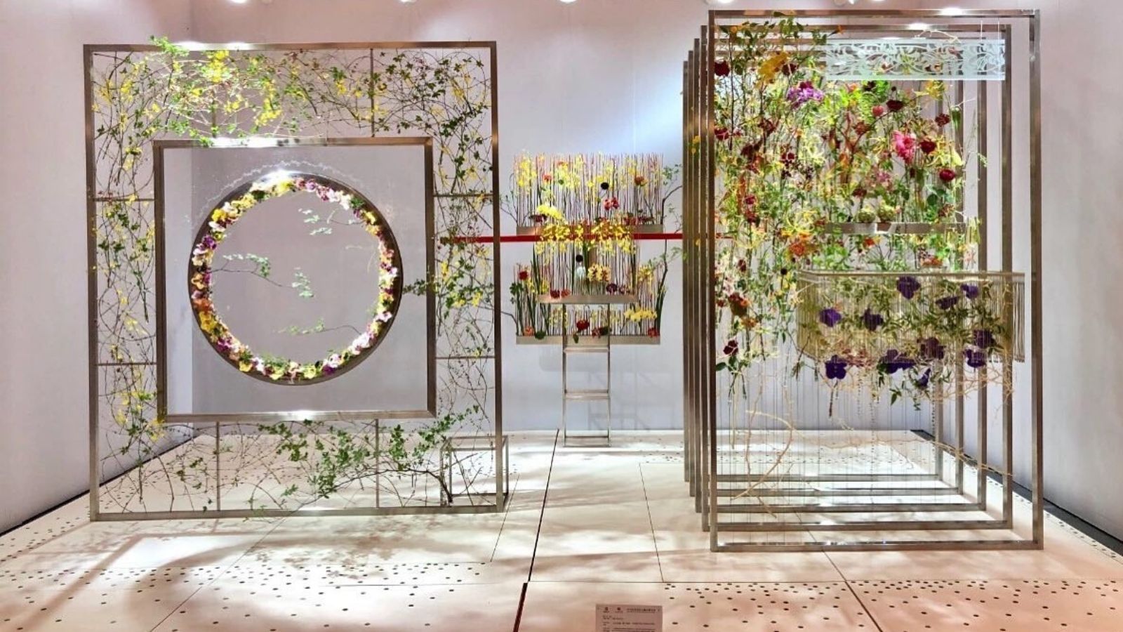 Diva Floral Art - Florist on Thursd