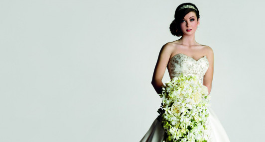 René van Rems International