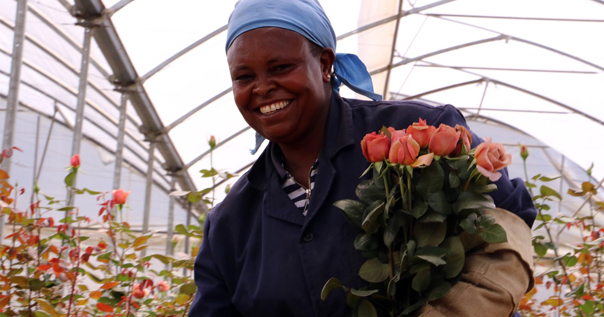 Tambuzi - Grower featured on Thursd