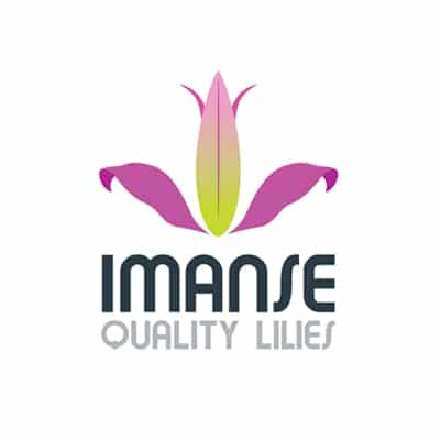 Imanse Quality Lilies