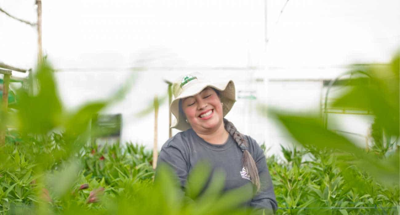 Bicco Farms - Grower featured on Thursd