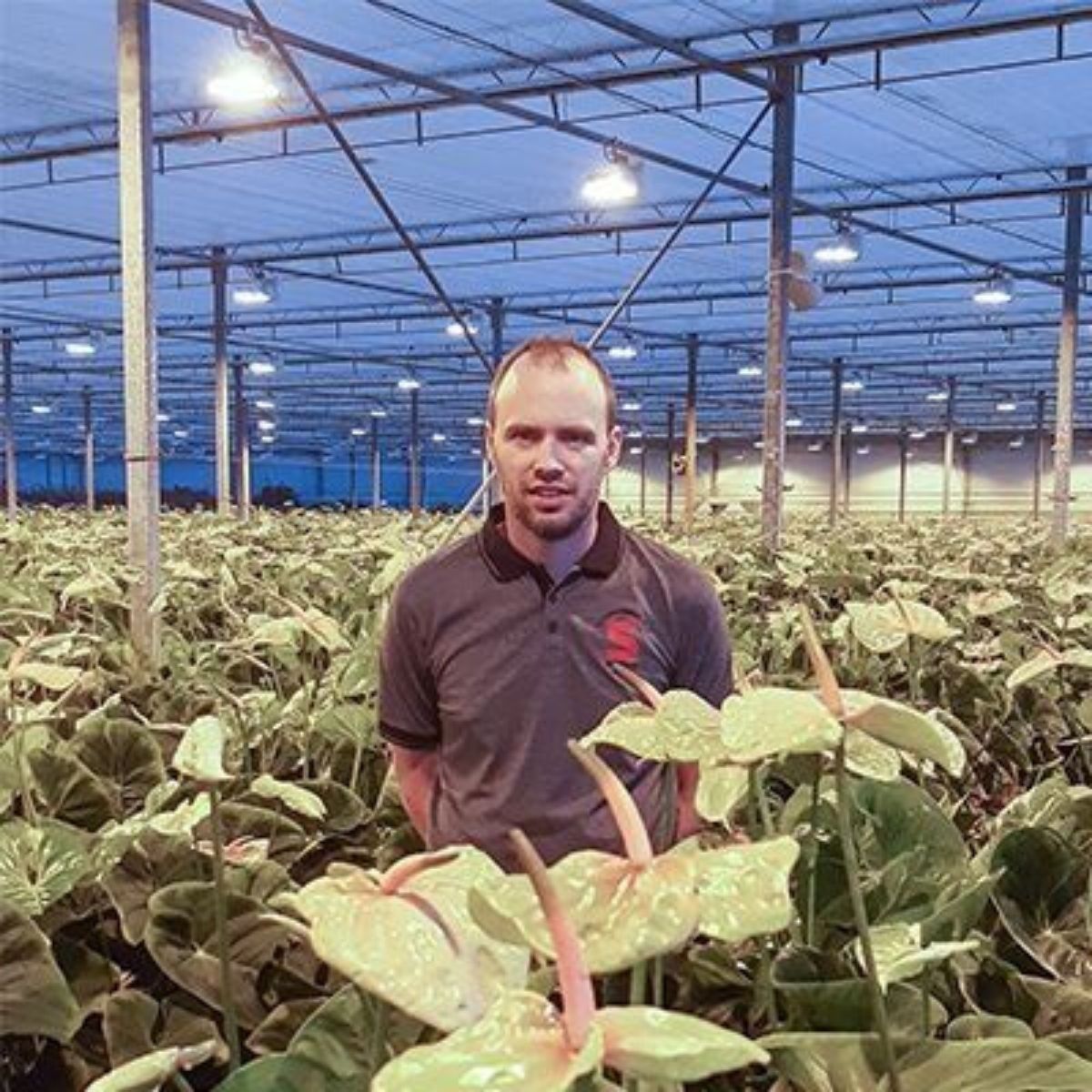 M. Stolk - Grower featured on Thursd