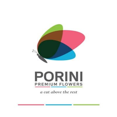 Porini Flowers - Grower featured on Thursd