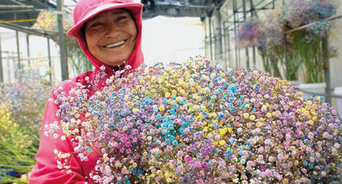 Malima - Grower featured on Thursd