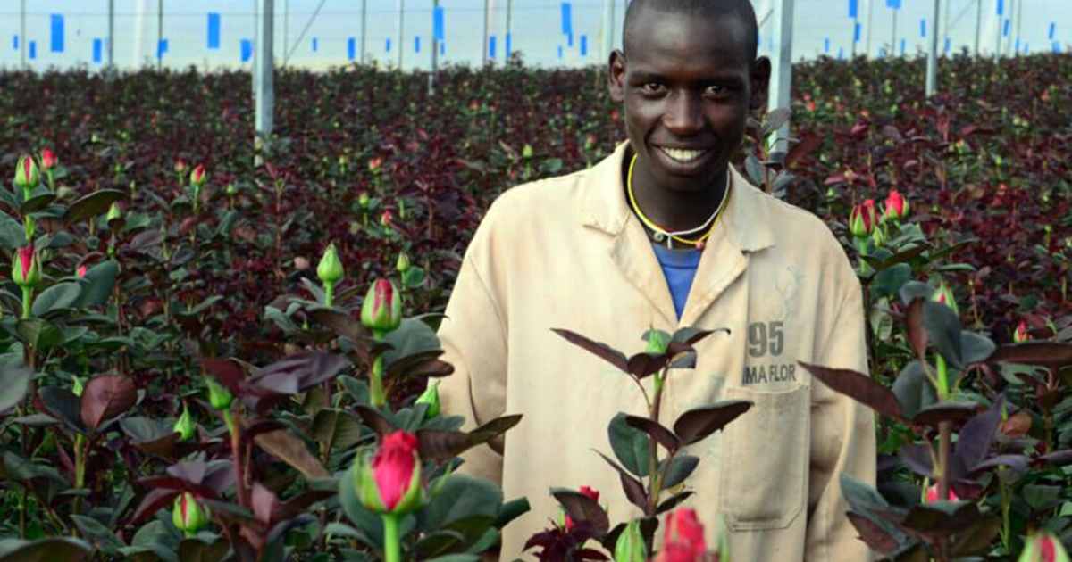 Timaflor - Grower featured on Thursd