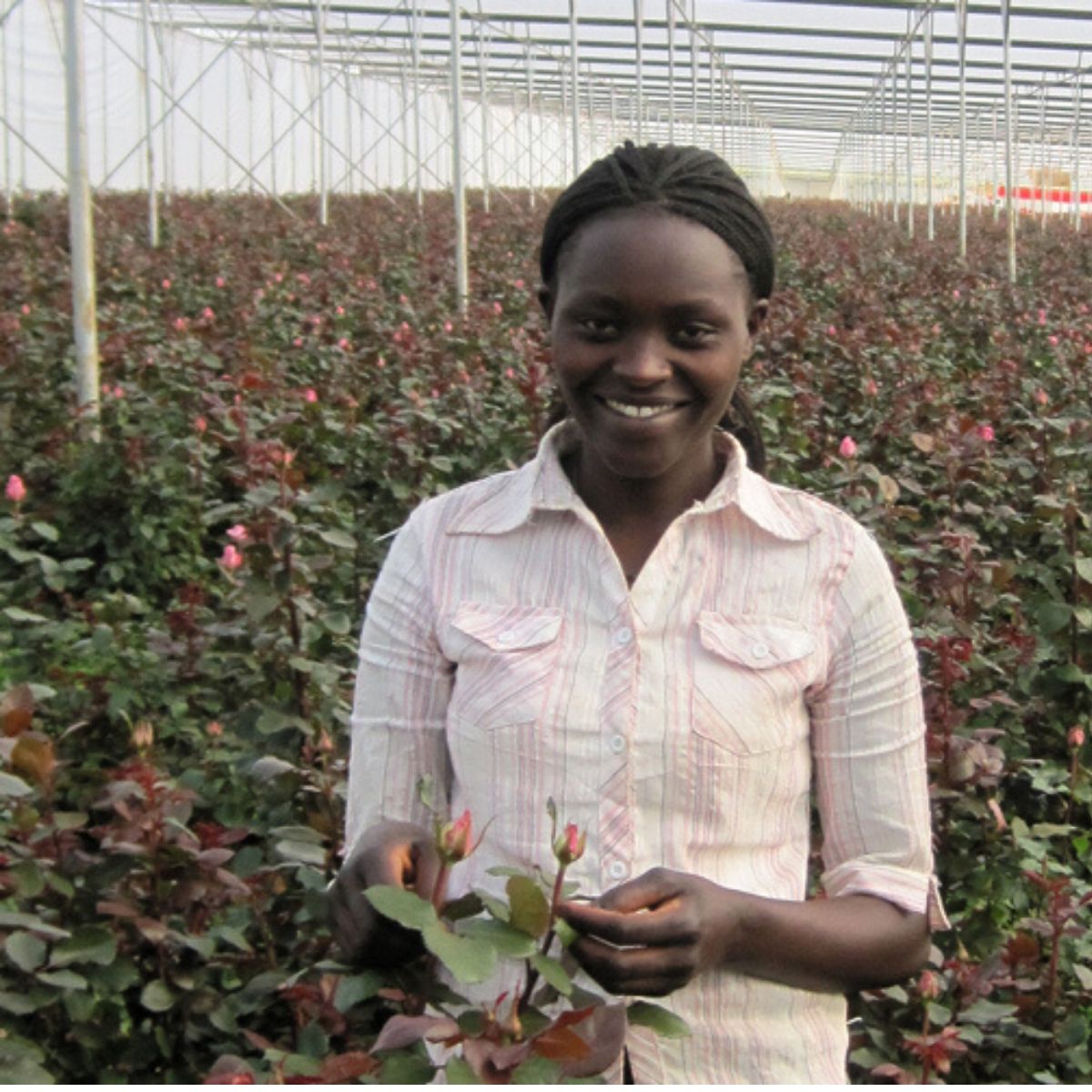 Alani Gardens - Grower featured on Thursd