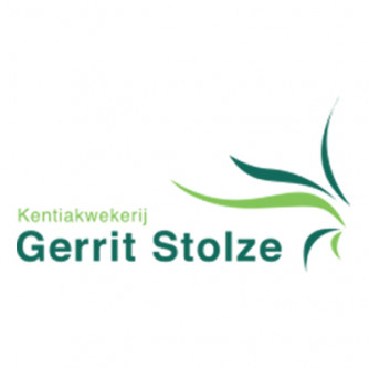 Kentiakwekerij Gerrit Stolze - Grower onThursd