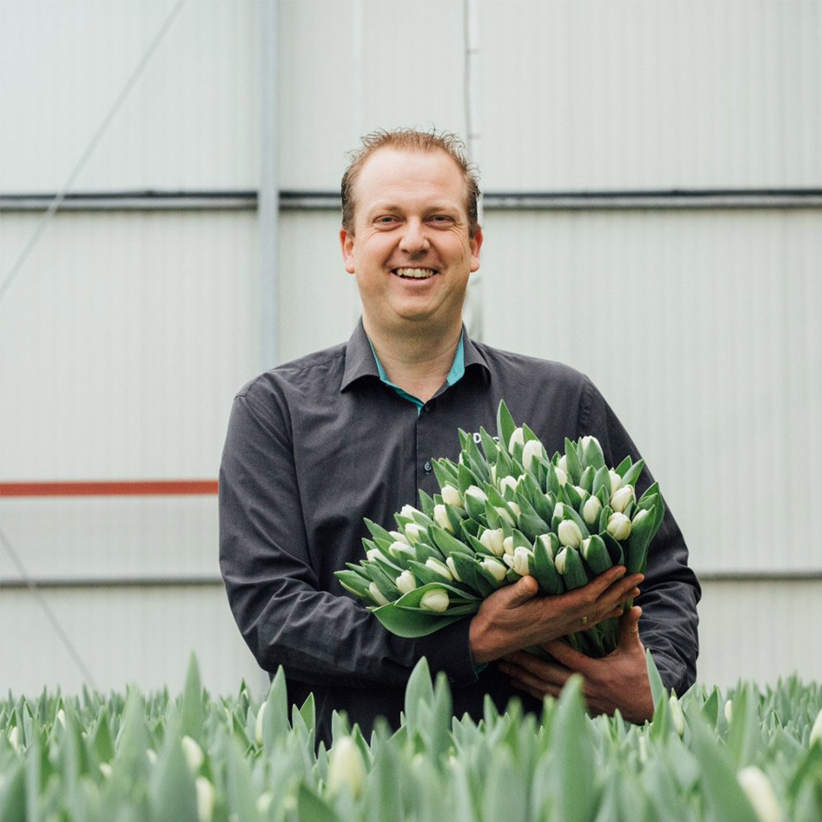 Ted van der Gulik V.O.F. - Grower on Thursd