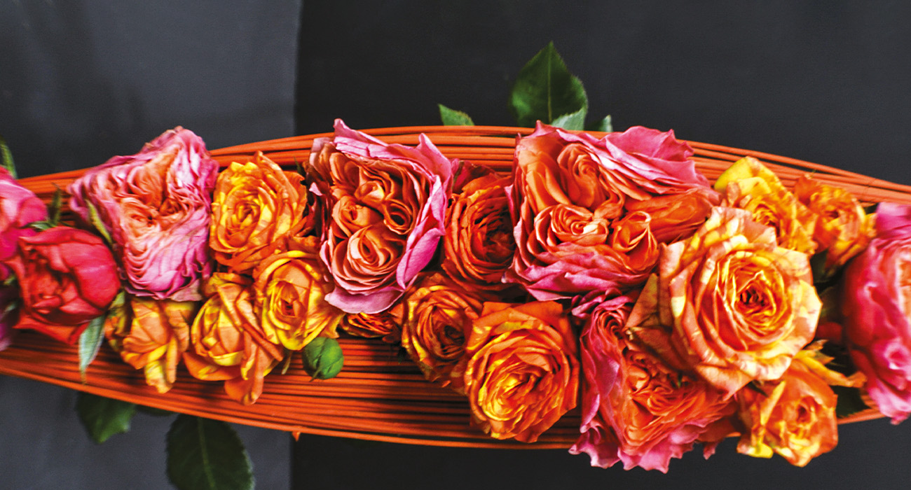 Red Lands Roses - Grower onThursd