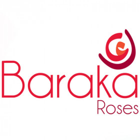 Baraka Roses - Grower featured on Thursd