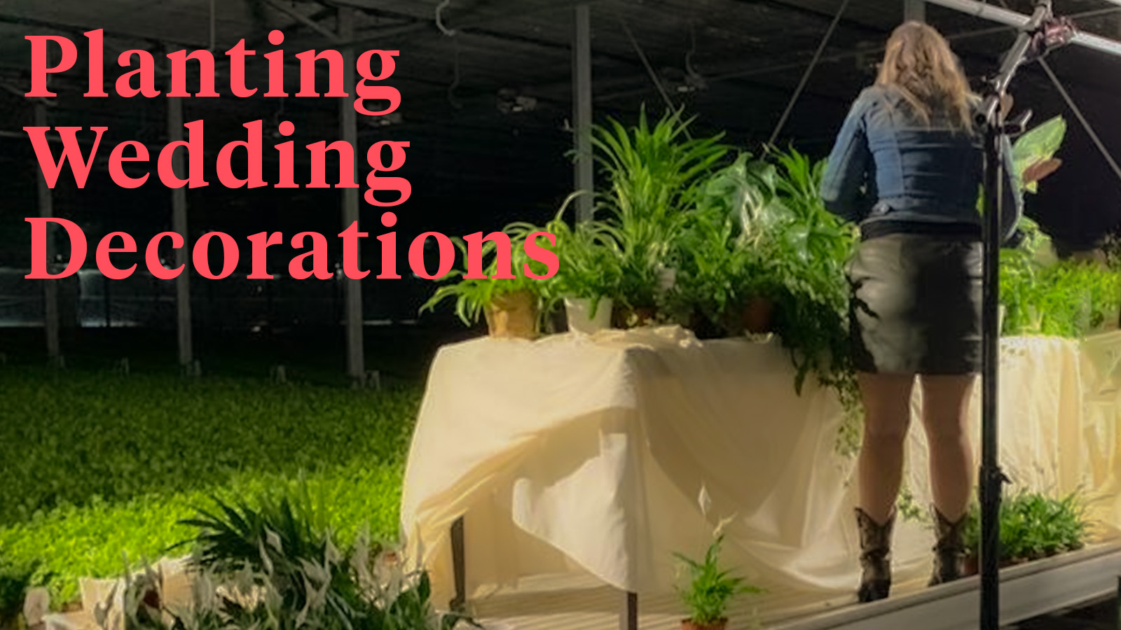 A Tropical Plant Wedding