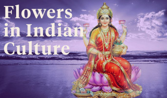 Symbolism of Indian Flowers - Thursd