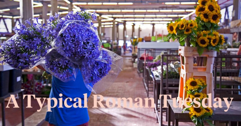 A Tuesday Flower Market in Rome
