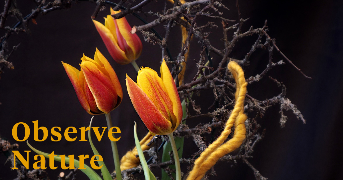 My Smart Scorched Earth Project