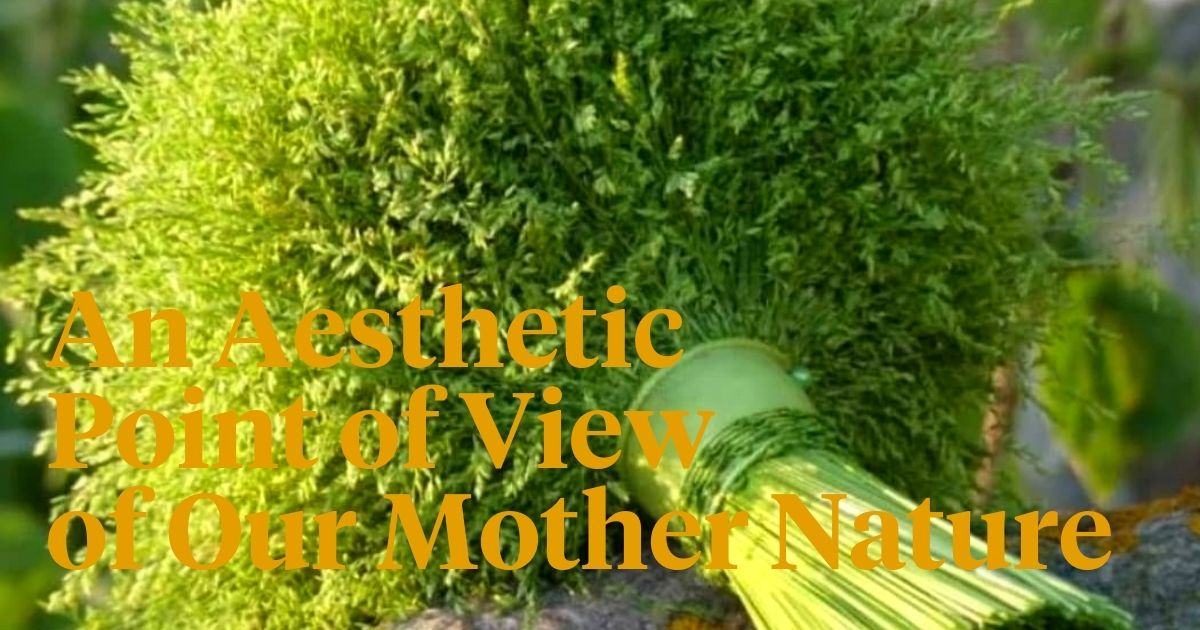 I Believe in Our Eternal Love for Mother Nature