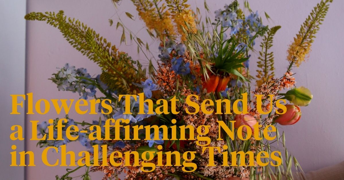 La vida sigue floreciendo - blog on Thursd by Poppykalas