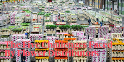 Top 5 Challenges Distributors Face While Importing Flowers