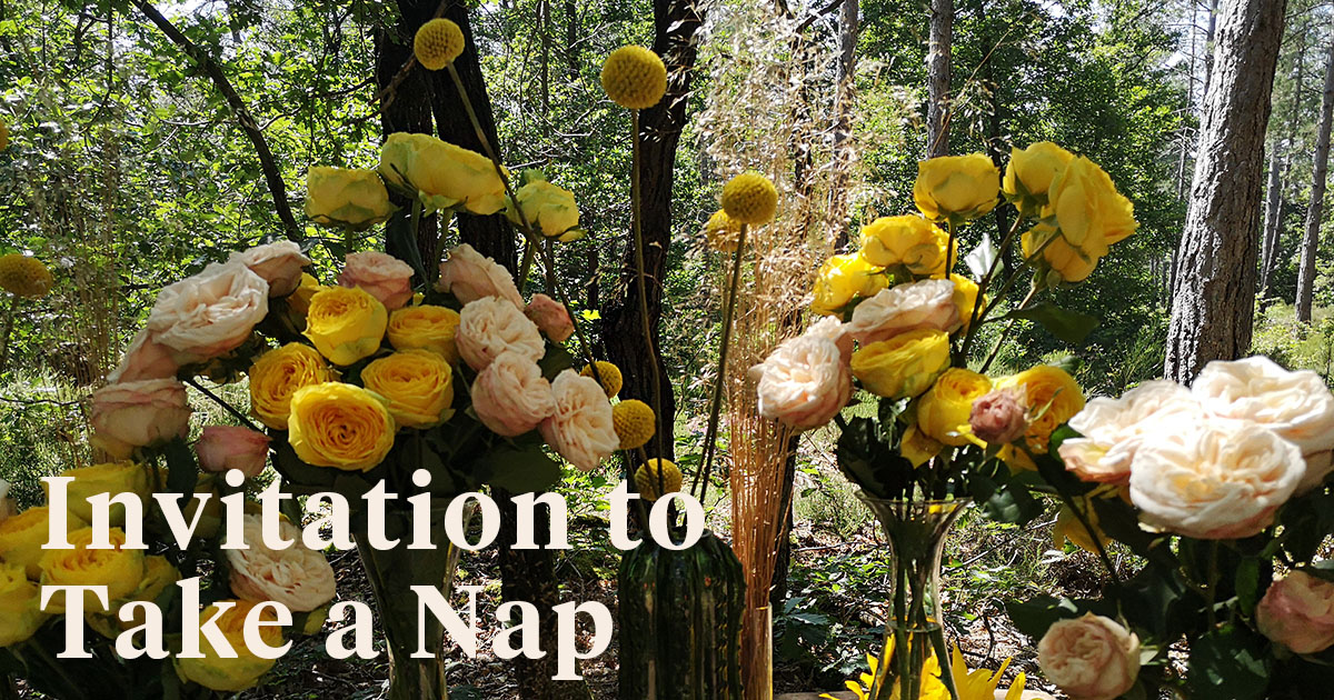 A Brunch in the Forest With Roses Golden & Gentle Trendsetter