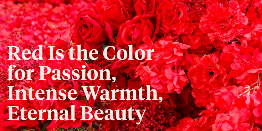 Anamika Khanna's Metamorphosis of a Dreamland in Intense Red - Blog on ...