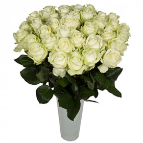 Van den Berg RoseS - Thursd