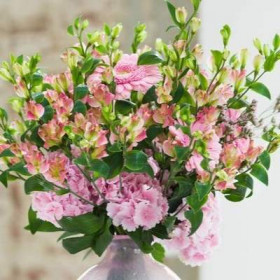 Charmelia® Pink - Thursd