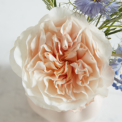 Mayesh Wholesale - Los Angeles Flower Market - Thursd