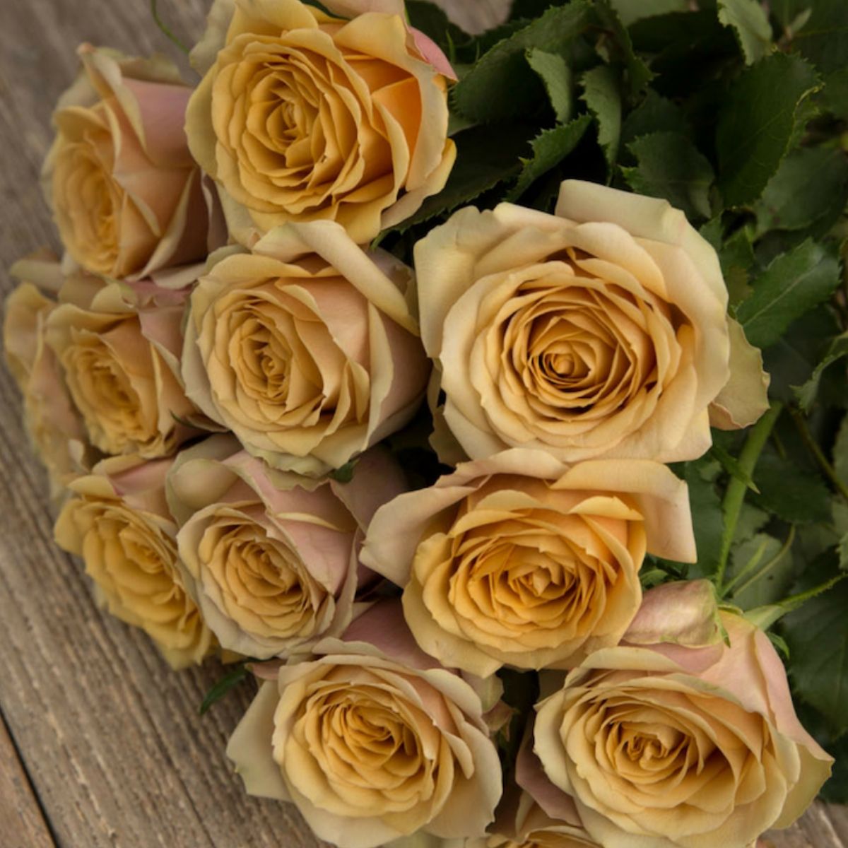 Rose Golden Mustard®