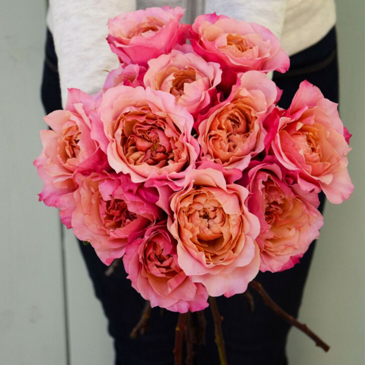 Rose Miyabi | Product on Thursd.com