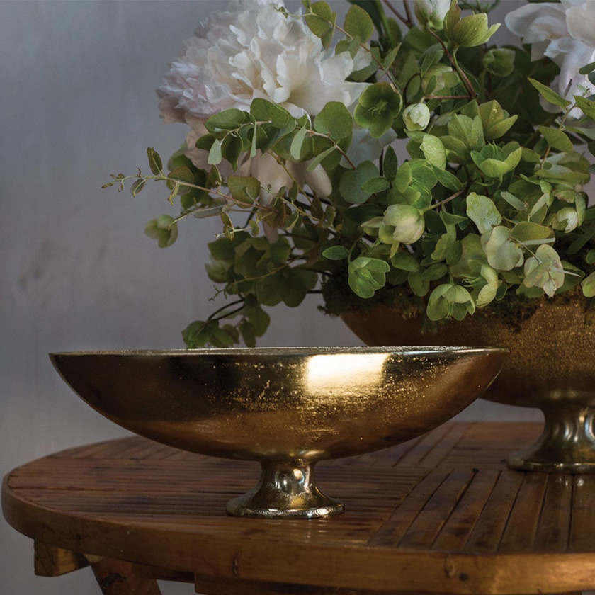 Charlize Compote | Product Featured on Thursd.com