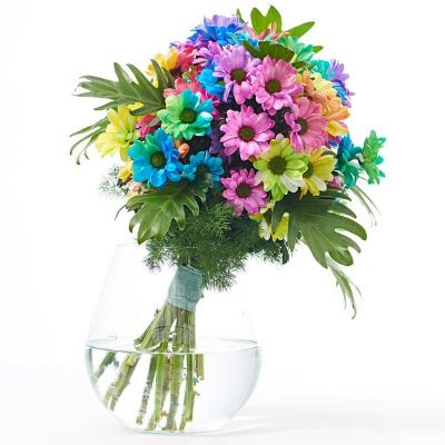 Chrysanthemum Summerflame - Thursd