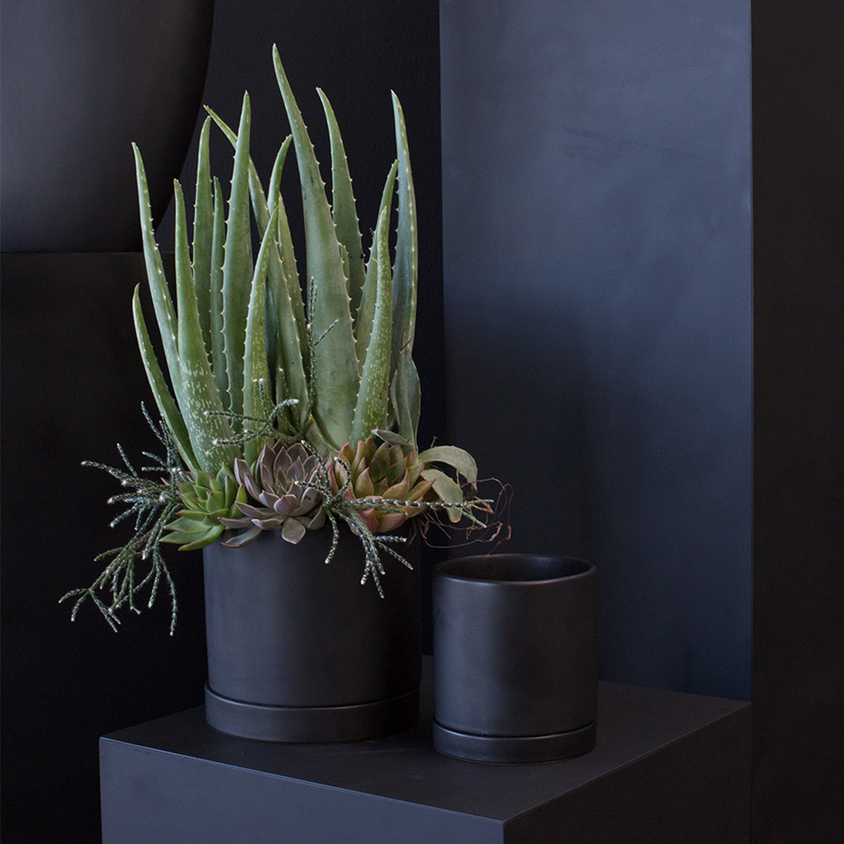 Romey Pot | Product Featured on Thursd.com