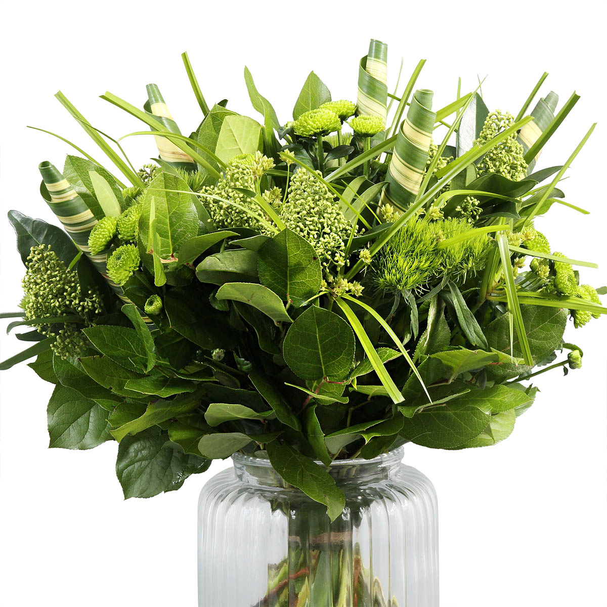 Salal | Product on Thursd.com