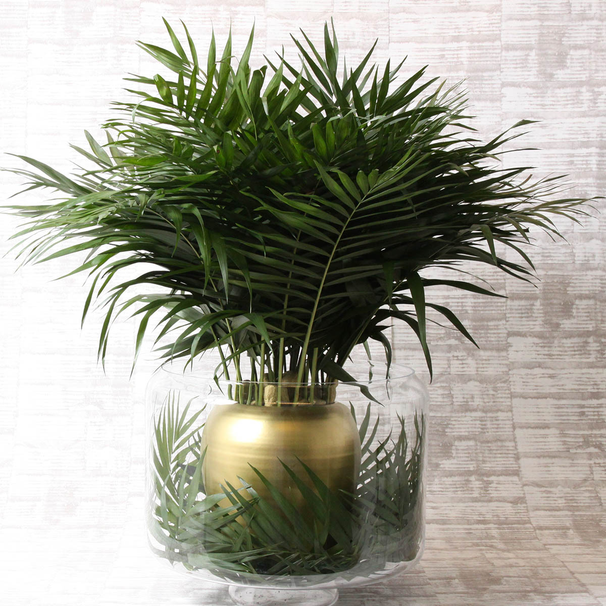 Chico Jumbo | Product Featured on Thursd.com