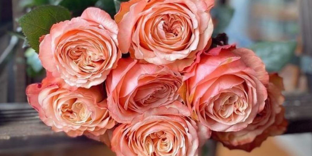 Rose Kahala | Product Featured on Thursd.com