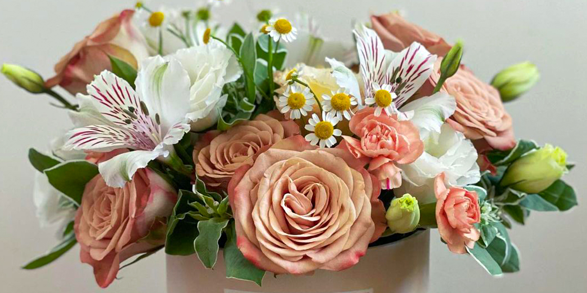 Rose Tropical Amazone