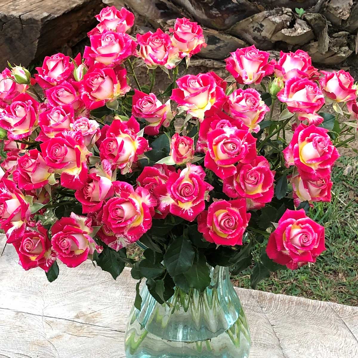 Spray Rose Bala - Product on Thursd