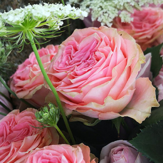 Rose Red Promise - Thursd