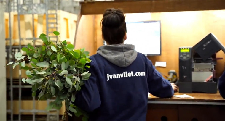 Van Vliet Flower Group