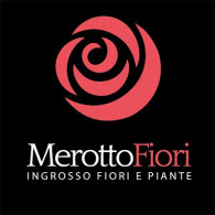 Merotto Fiori - Trader featured on Thursd