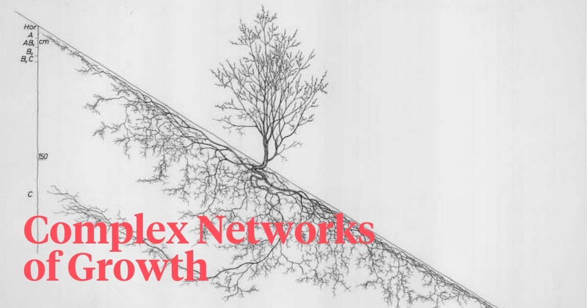 Archives of Drawings Unveil the Complex Root Systems of 1,180 Plants