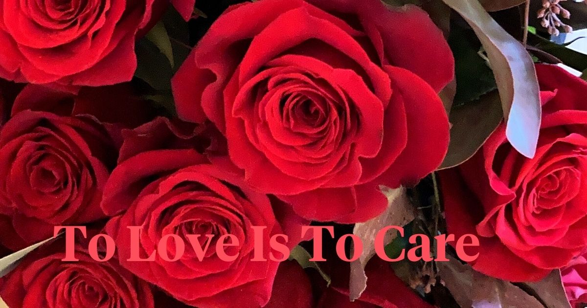 Naranjo Roses Sends Heartbeats From the Farm - Valentine's Day Mode On