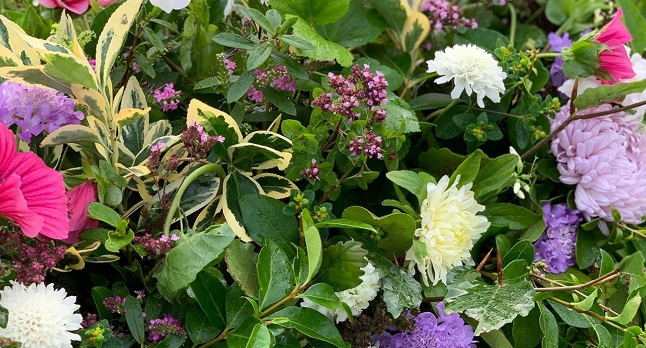 The Posy Patch - Florist featured on Thursd