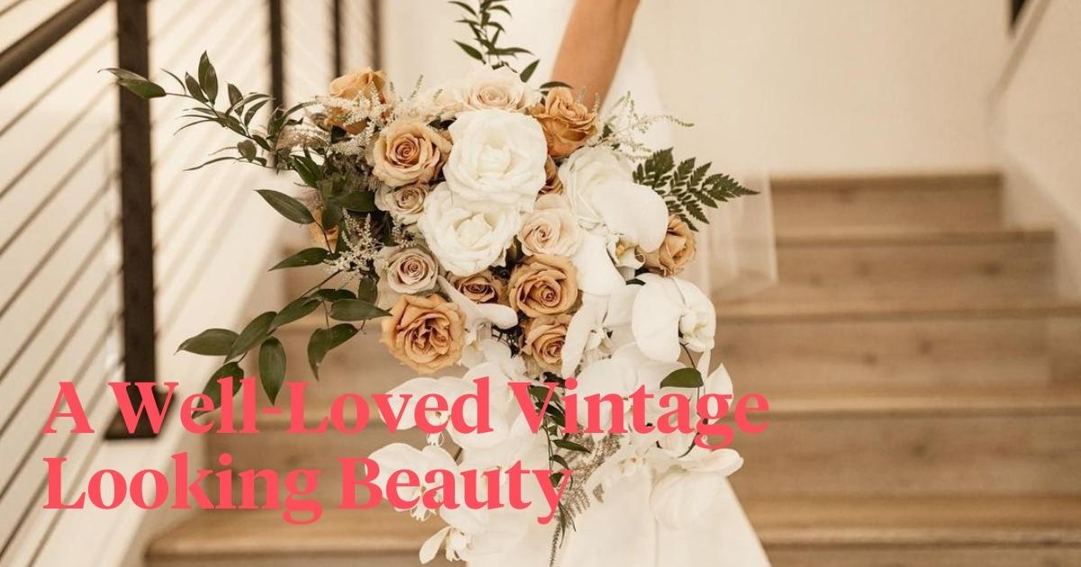 Why Toffee Roses Are the Most Popular Brown Rose