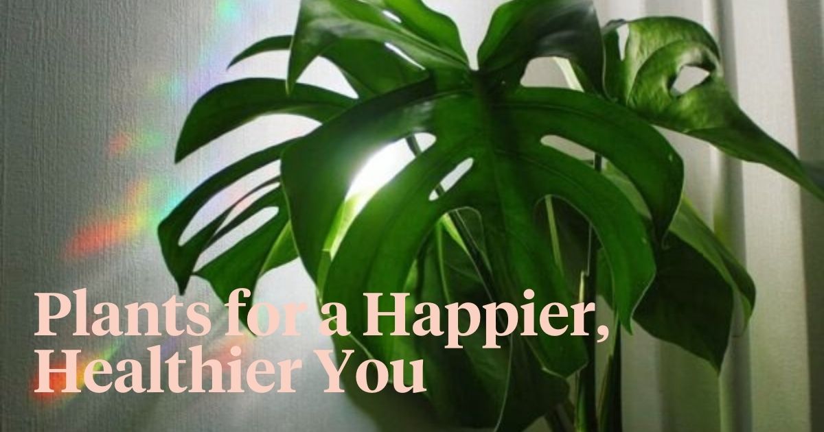 7 Science-Backed Health Benefits of Plants at Home - Article on Thursd