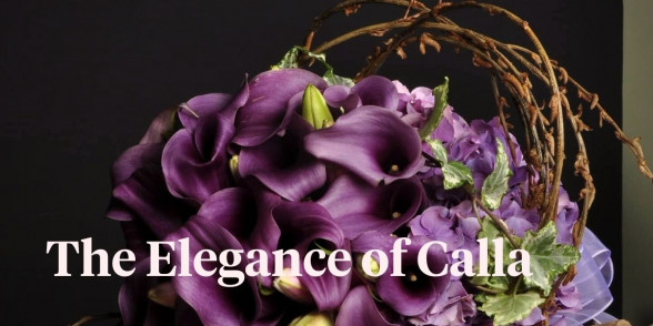 Simply Calla Showcases Chic Global Calla Designs