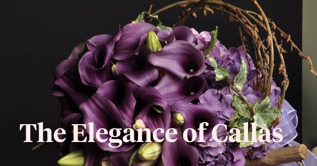 Simply Calla Showcases Chic Global Calla Designs