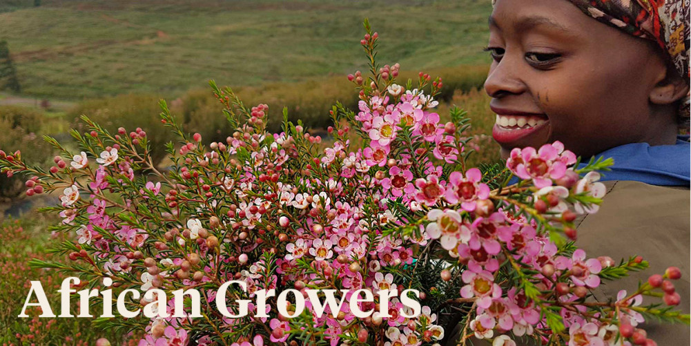 Zuluflora - African Growers With A Rich & Deep Heritage