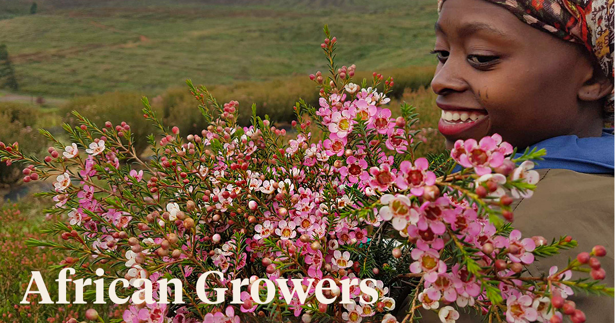Zuluflora - African Growers With A Rich & Deep Heritage