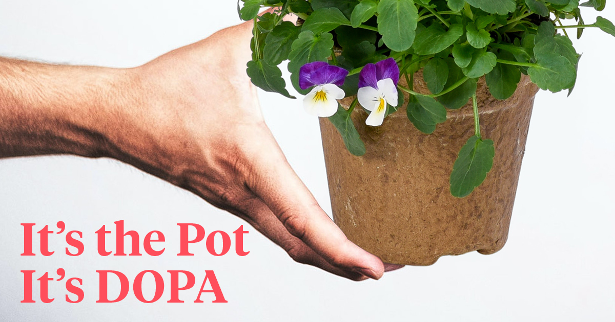 Reducing Plastic in Horticulture - Plantics DOPA Paper Pots